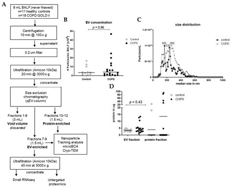 Extracellular Fluid