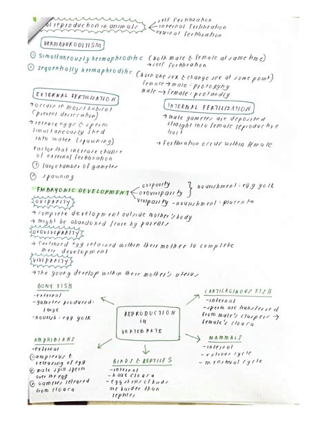 Solution Reproductive System Notes Studypool