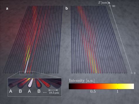 Observation Of Photonic Zitterbewegung In A Binary Waveguide Array A
