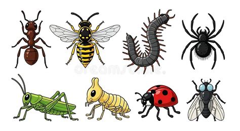 Spider Grasshopper Stock Illustrations 3172 Spider Grasshopper Stock Illustrations Vectors