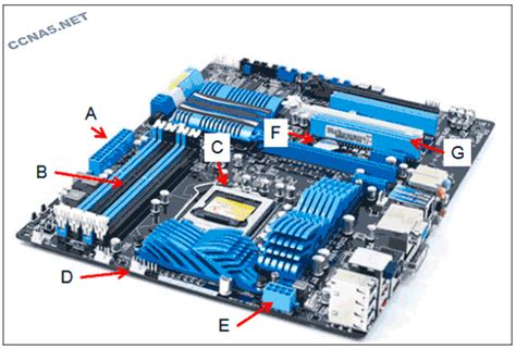 IT Essentials ITE V6 0 V7 0 Chapter 6 Exam Answers 100