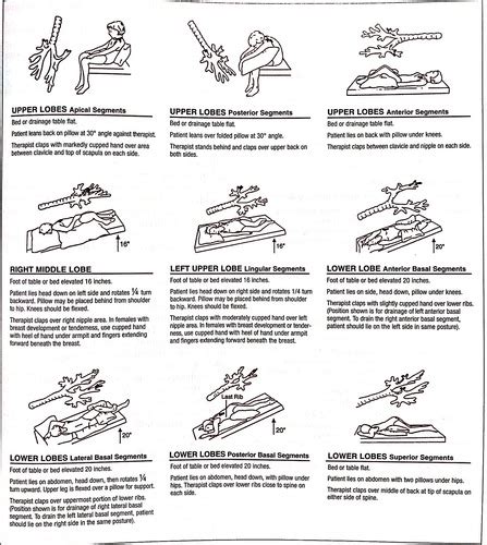 Manual Secretion Removal Techniques Flashcards Quizlet