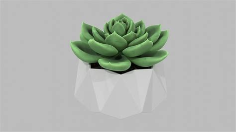 Suculent Vase 2 3d Model Cgtrader