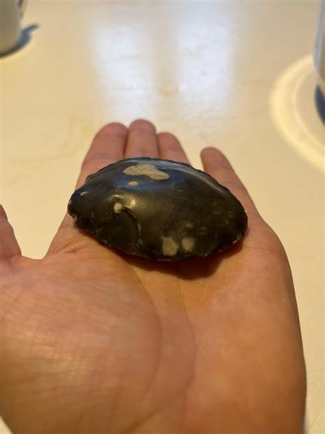 Is This A Crab Fossil R Fossils