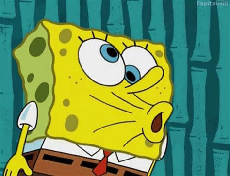 Sponge Bob Crazy  Sponge Bob Crazy Silly Discover And Share S