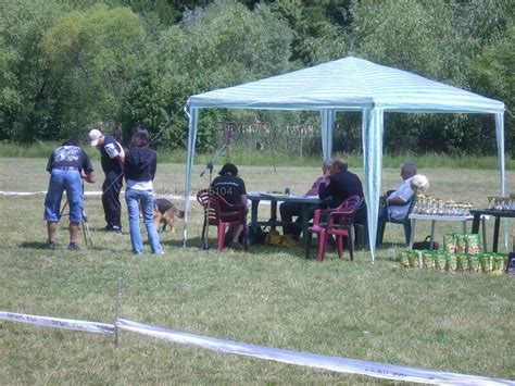 Градинска шатра павилион 3 х 3 метра зелено бяло рае без