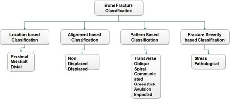 Bone Fracture Classification Download Scientific Diagram