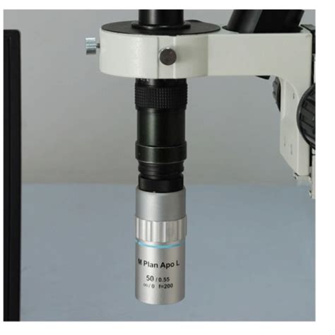 Working Distance Microscope Objective Frederica Barger