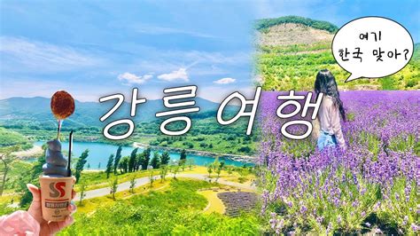 여기 한국 맞아 한국의 스위스 1박2일 강릉여행💜ㅣ라벤더축제ㅣ오션뷰 숙소추천ㅣ중앙시장ㅣ무릉별유천지ㅣ브이로그 닭강정오징어순대엄지네포장마차순두부썬크루즈호텔