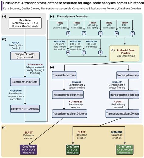 Crustome A Transcriptome Database Resource For Large Scale Analyses