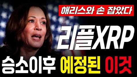 리플 전망 리플 해리스와 손 잡았다 승소이후 예정된 이것 리플 Sec 리플소송 리플합의 리플코인 Xrp 코인긴급