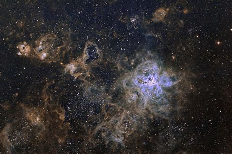 Bensozia Tarantula Nebula