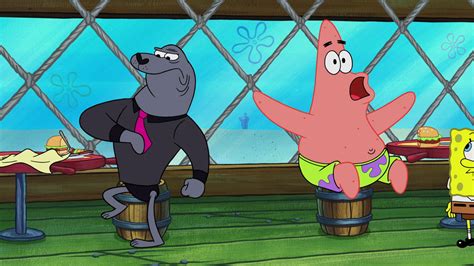 Seal Customer Gallery Encyclopedia Spongebobia Fandom