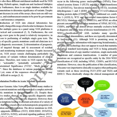 The Most Frequent Gene Mutations And Cellular Pathways In Acute Myeloid Download Scientific