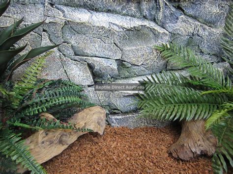 North Queensland Pythons Added North Queensland Pythons