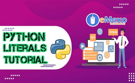 Best Software Training Institute In Electronic City Emexo Technologies
