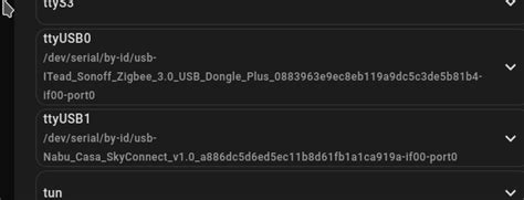 Docker Home Assistant Devttyusb0 Not Showing Configuration Home