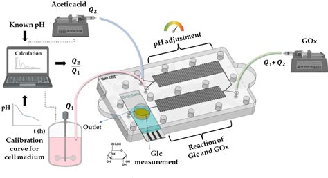 Figure 1 From 3d Printed Microfluidic Chip For Real Time Glucose Monitoring In Liquid Analytes