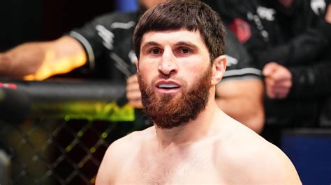 Live Ufc 313 Main Event Magomed Ankalaev Fight Abc Money