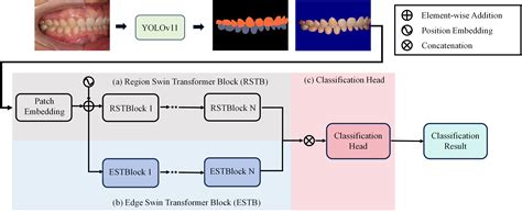 Development And Evaluation Of A Deep Learning Model For Occlusion