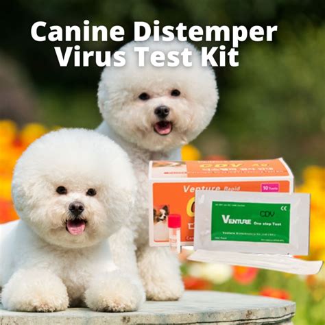 Kareina Shop Ph Canine Parvo Test Kit Home Health Detection For