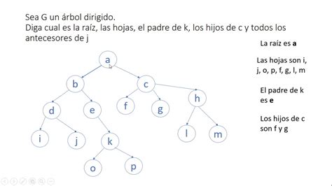 matematicas grafos explicacion y ejercicio youtube