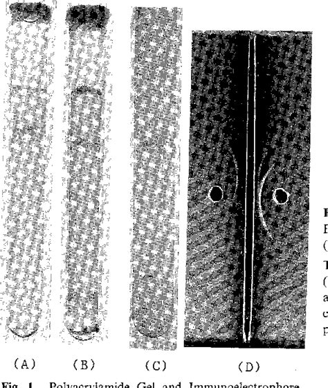 Figure 1 From Isolation And Characterization Of A Lectin From Erythrina Variegata Linn Var