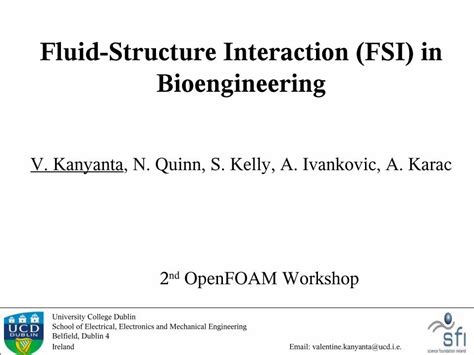 PDF Fluid Structure Interaction FSI In Bioengineeringpowerlab Fsb Hr Ped Kturbo Openfoam