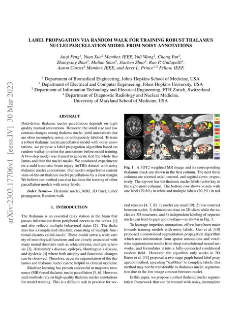 Pdf Label Propagation Via Random Walk For Training Robust Thalamus