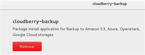 Cloudberry Backup For Linux Review And Installation