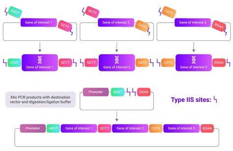 Decoding Gateway Cloning A Step By Step Guide By Mendelgen Medium