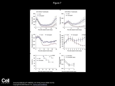 Volume Issue Pages December Ppt Download