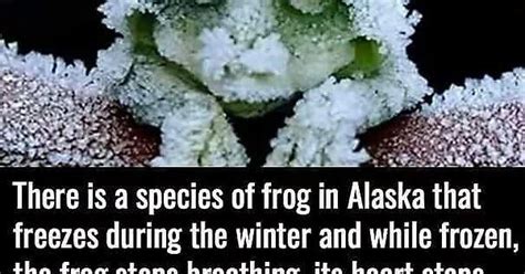 Mega Backup Dump Of All The Memes And Idiotic Pictures In My Funny Folder Backup Part 1