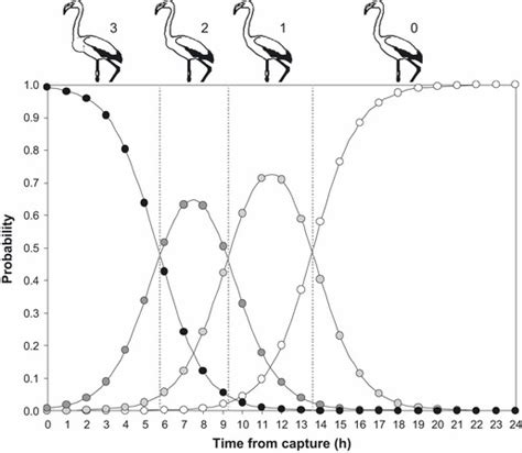 Graph Of The Ordinal Logistic Model For The Crop Size Variation In Download Scientific Diagram