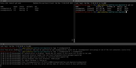 Cannot Connect To Notebook Server When There Are Multiple Notebook