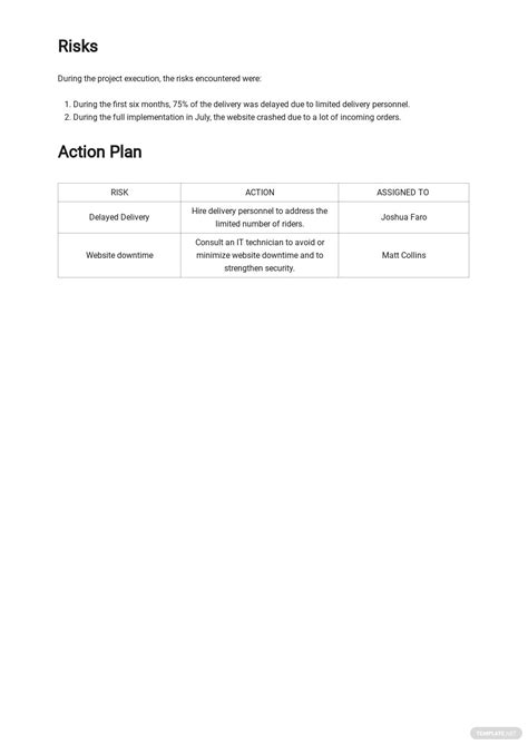 FREE Monthly Report Template PDF Word Google Docs