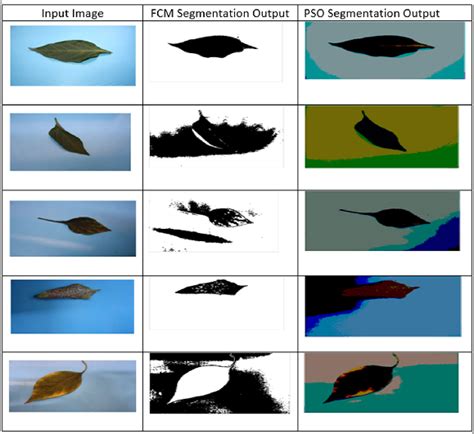 Fcm And Pso Segmented Output Download Scientific Diagram