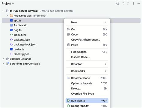 运行和调试 Typescript Webstorm 文档