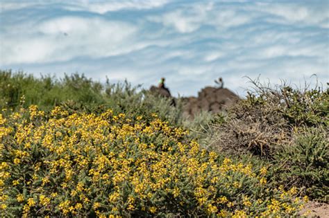 구름 위에 국립 공원 칼데라 데 타부리엔테의 공중 보기 로케 드 로스 무차초스 전망대의 산 봉우리에서 본 화산 분화구 라 팔마 스페인 0명에 대한 스톡 사진 및 기타 이미지