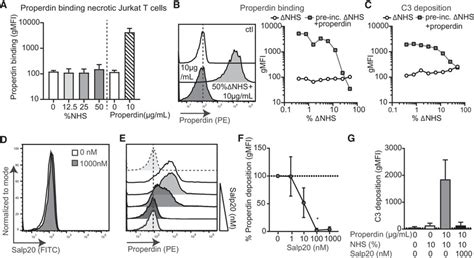Initial Properdin Binding Contributes To Alternative Pathway Activation At The Surface Of Viable