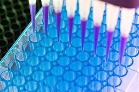 Earl W On Linkedin Dpcr Vs Qpcr Selecting The Right Tool For Molecular Analysis