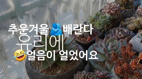 배란다유리에🧊얼음이😅 얼었어요💕 Youtube