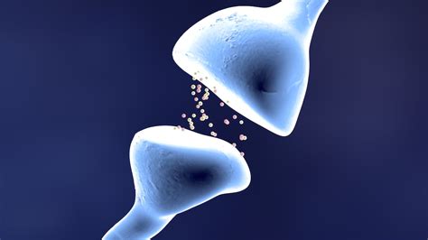 Synapse 3d Models Download Free3d