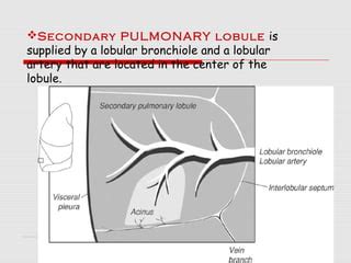 Imaging Endobronchial Tb Ppt