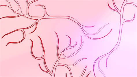 Predicting Chronic Cerebral Hypoperfusion Conexiant