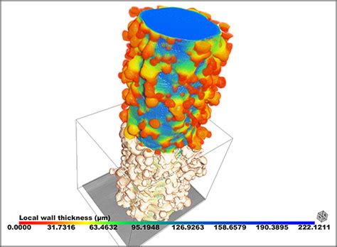 Additively Manufactured Lattice Structure Surface Morphology Evaluation Dragonfly
