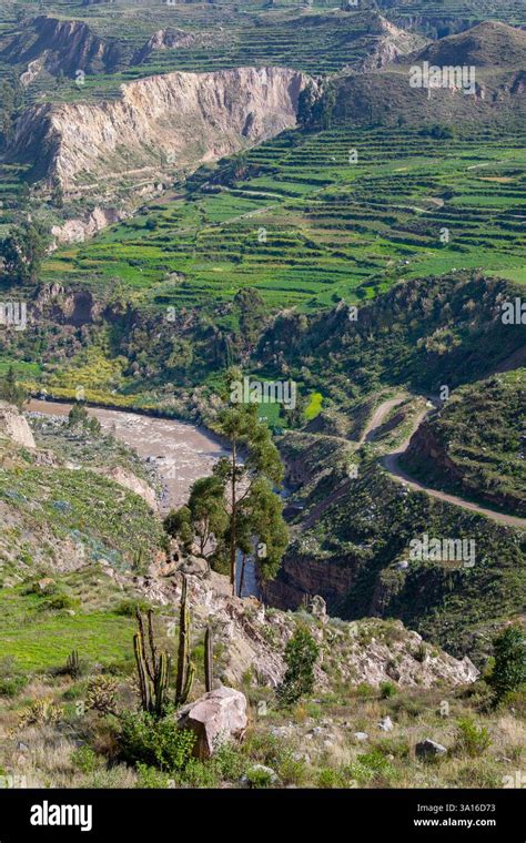Peru Andes Cordillera Colca Valley Tarapoto The Colca River