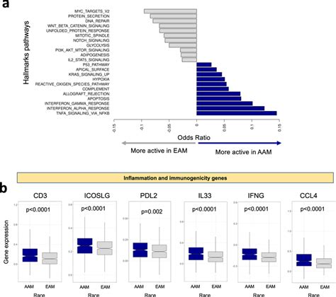 Activation Of Different Signaling Pathways Drives Prostate Cancer In Download Scientific