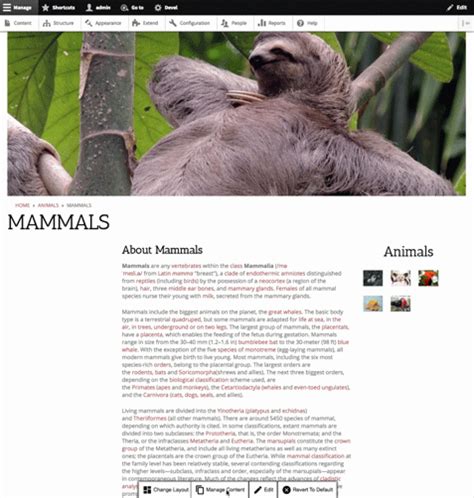 Layout In Drupal 8 Part 2 Electric Citizen Minneapolis Drupal Web