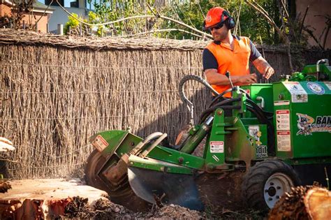 Tree Removal Adelaide Stump Removal Adelaide CTL Services